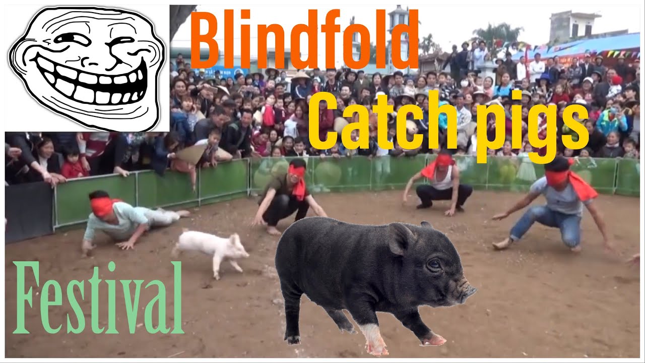 Blindfold and pig catching festival, very funny - YouTube