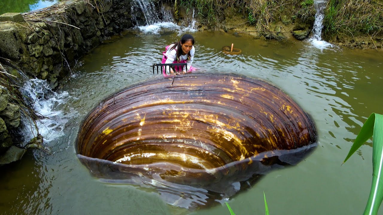 The nine toothed rake is stable when fishing for river clams, and I ...