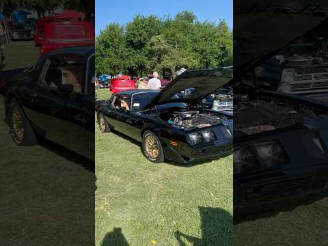 Family outing at the car show 🚘 #stella #cute #family #carshow #shorts #cutestmoments
