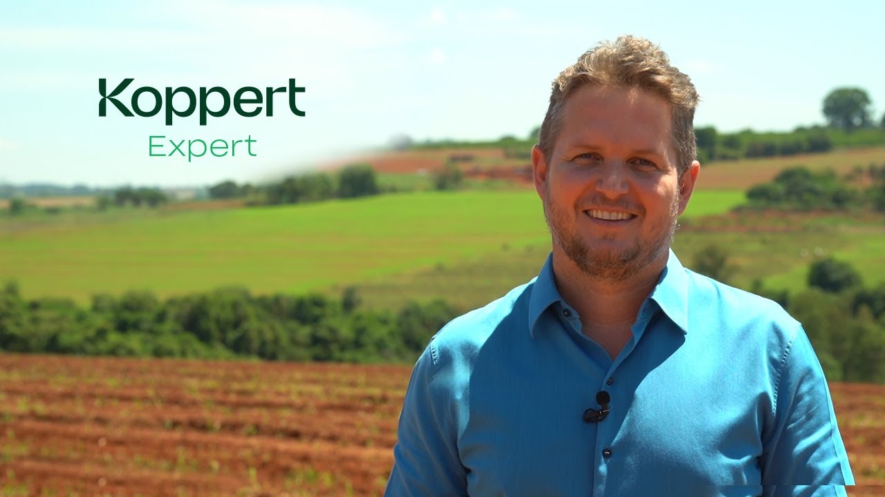 Koppert Expert | Ep. 2 - Fernando Andreote - YouTube