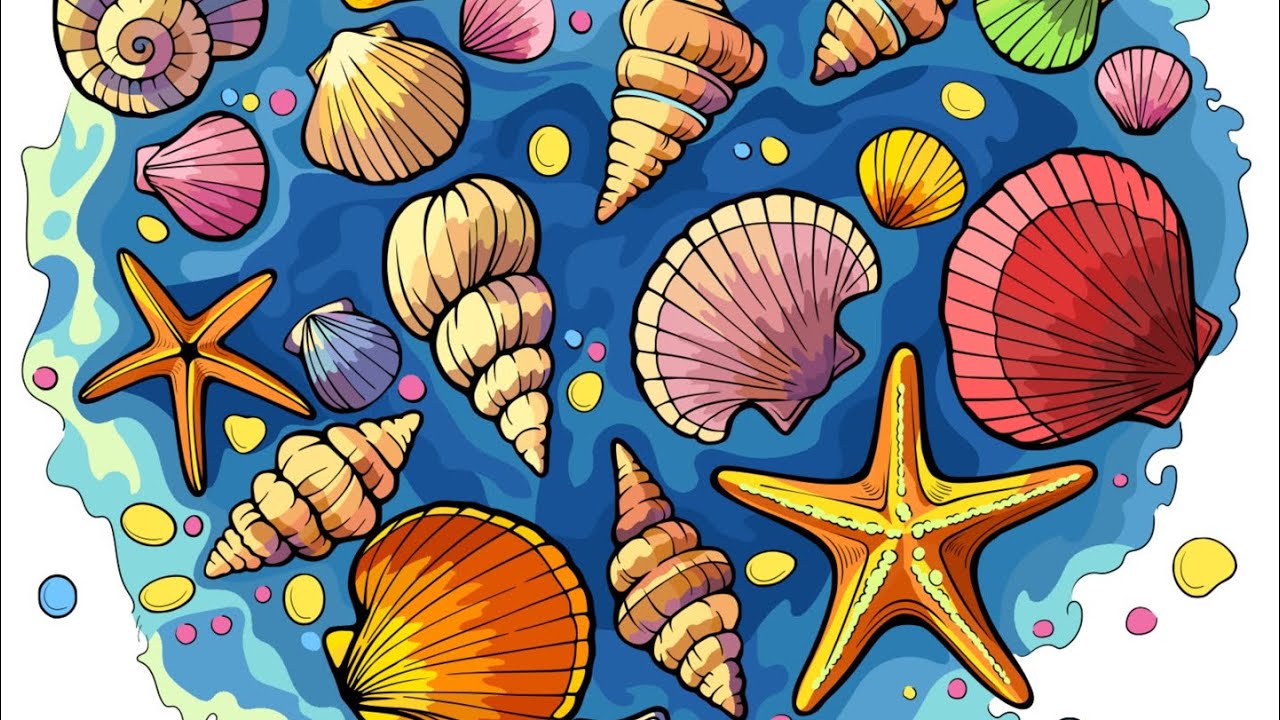 Seashell Sea Star Blue Heart Zen Color App Paint by Numbers Color with ...