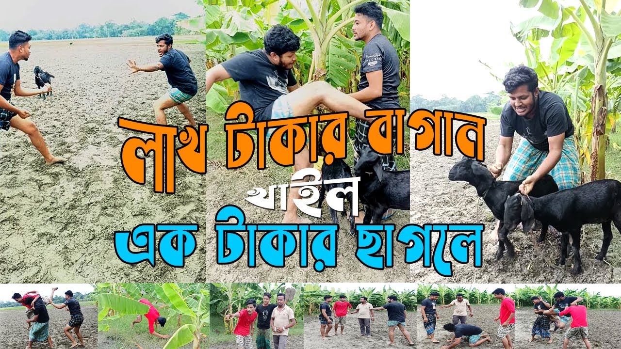 লাখ টাকার বাগান খাইল এক টাকার ছাগলে | Bangla Funny Video 2023 | Binodon Express Pro - YouTube
