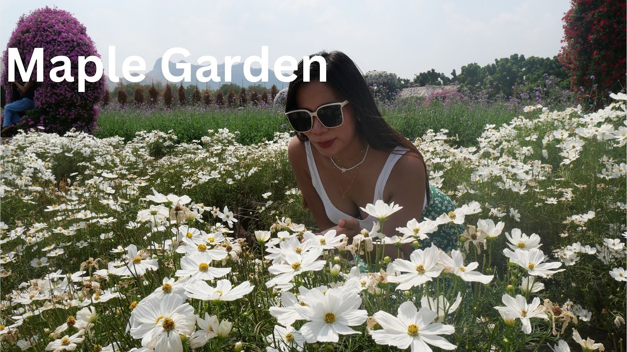 Maple Garden | Kanchanaburi, Thailand - YouTube