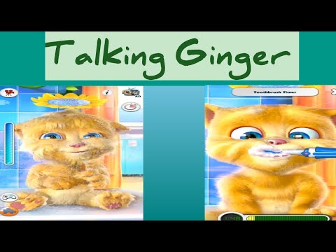 "Talking Ginger Funniest Reactions! Bath Time Fun, Teeth Brush Timer ...