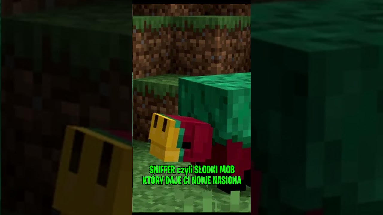 Kim Są: NOWE MOBY w MINECRAFT (Sniffer/Rascal/Tuff Golem) - YouTube