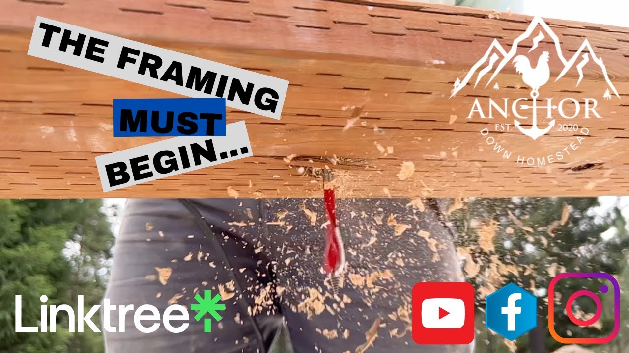 Building Dreams: Starting Framing with Seal Plate Lumber ...