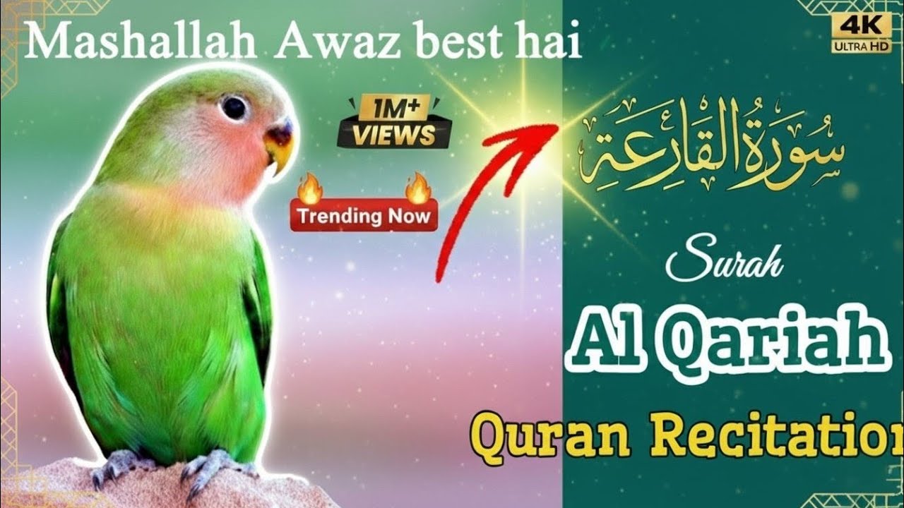Surah Al-Qariah Full Arabic With text || surah al-qariah full arabic HD ...