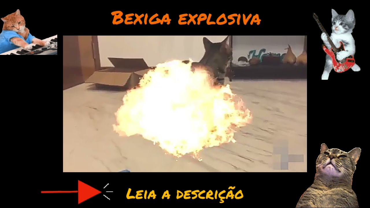 Gatinho explode bexiga e leva susto. Gato 🐱 com bexiga 🎈 explosiva # ...