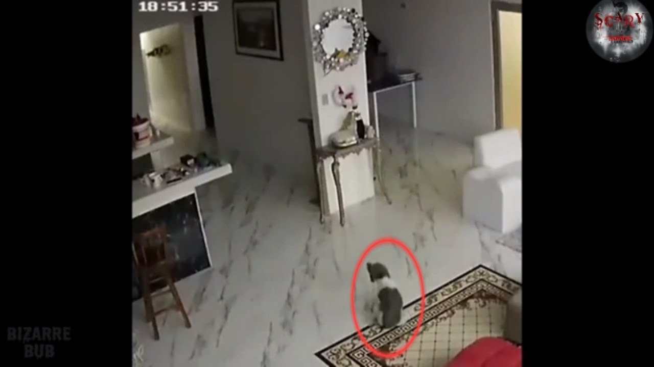 5 CREEPY THINGS CAUGHT ON CAM || You won't watch ALONE - YouTube