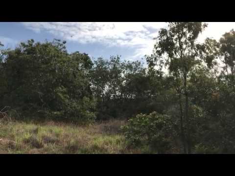 Slade Point Nature Reserve Part 1 - YouTube