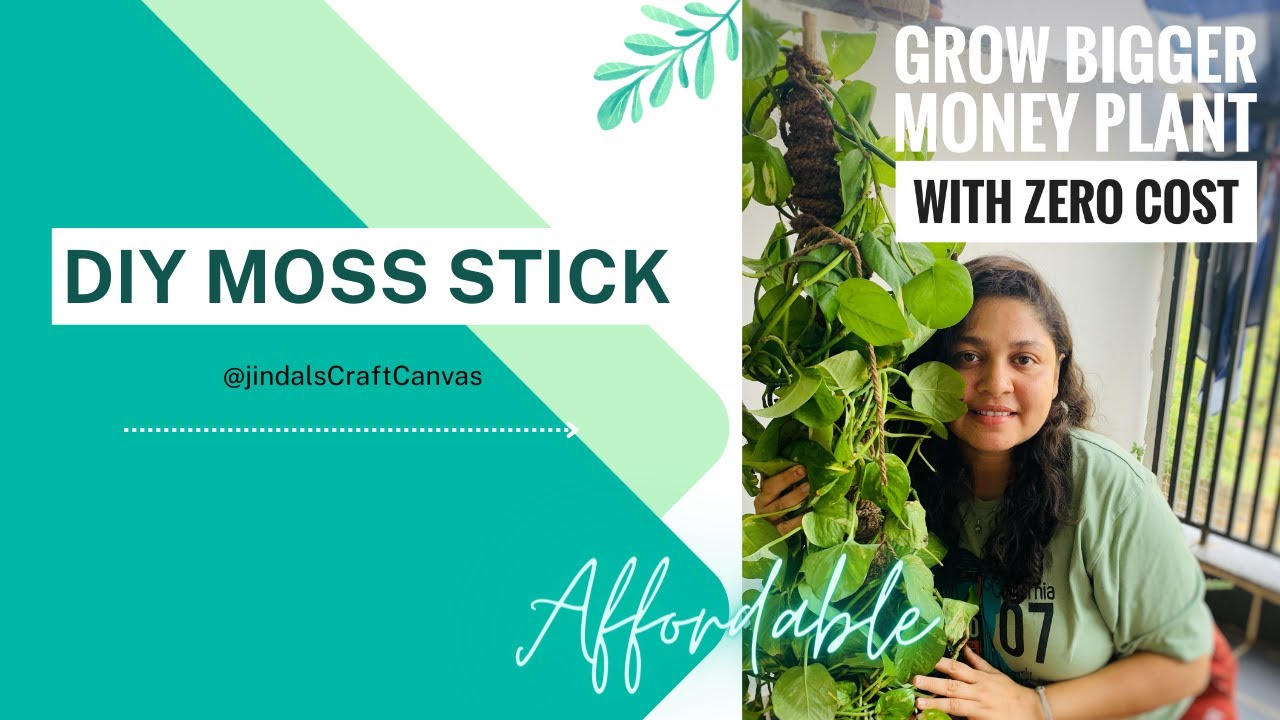 Make Moss Stick at Home | घर पर मॉस स्टिक बनाएं | DIY Moss Pole for ...