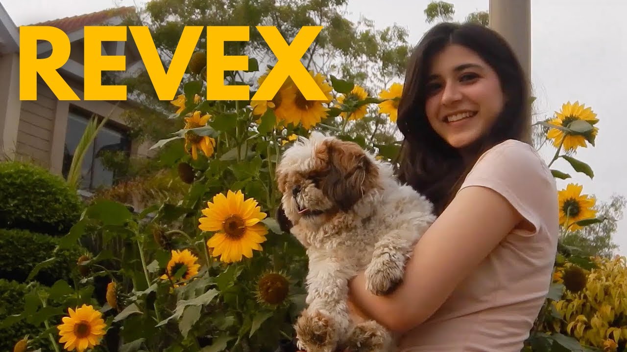 Abdul Hannan & Rovalio - Iraaday ( Acoustic ) | REVEX | (Official Music ...