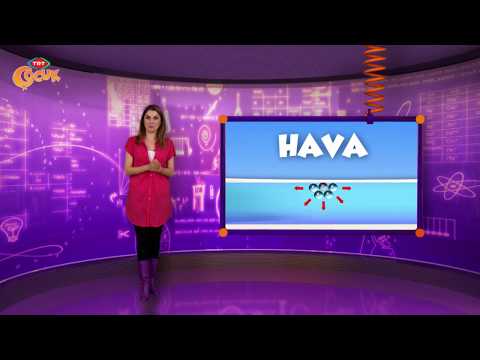 Nasıl Acaba - Yüzen Karabiber