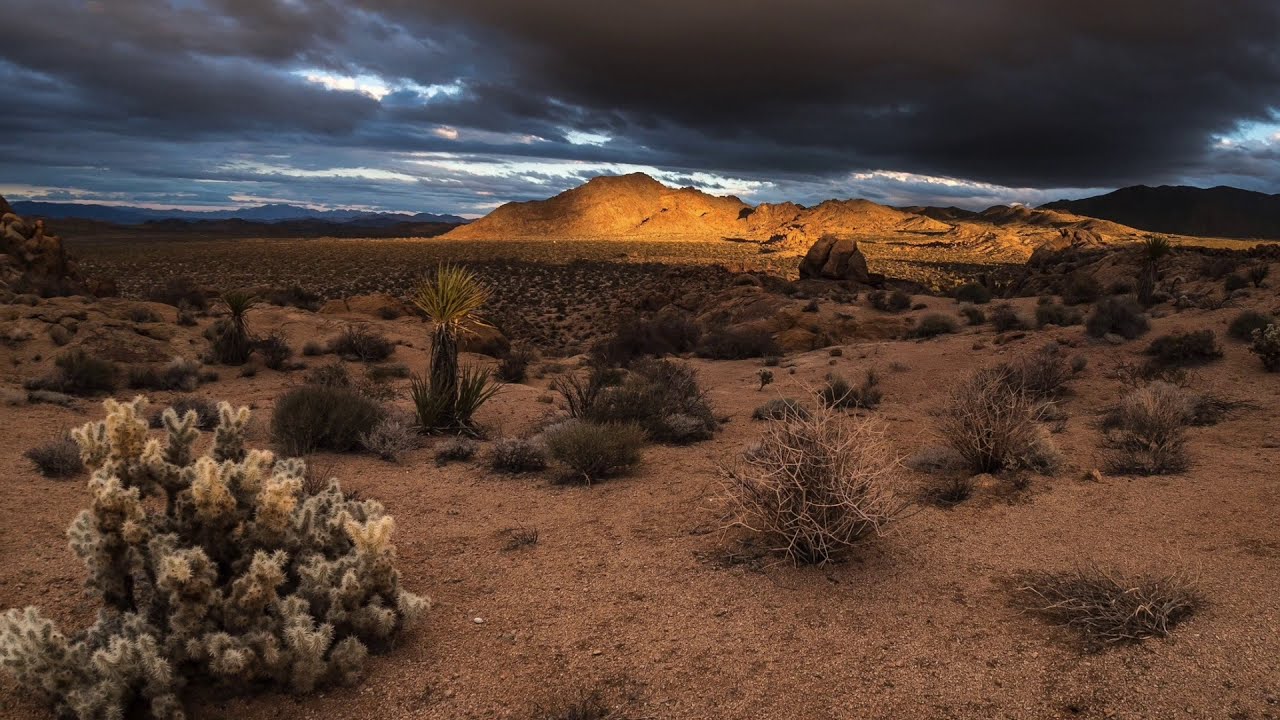 David Wilborn Excursions, Mvt 2: Prayers and Ritual - YouTube