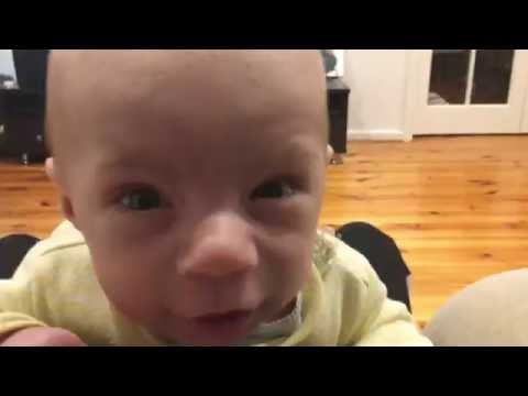 Cute baby, crazy dobie - YouTube