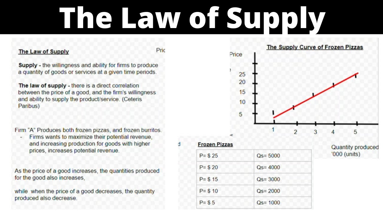The Law of Supply Video Lecture - IB Economics; Gabriel Woo - YouTube