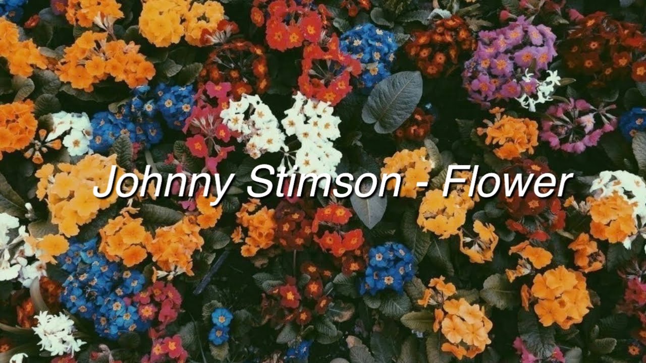 [가사해석] Johnny Stimson - Flower - YouTube