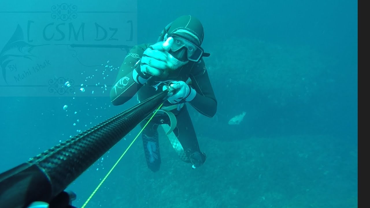 [ CSM Dz ] mérou . Badéche et barracuda - YouTube
