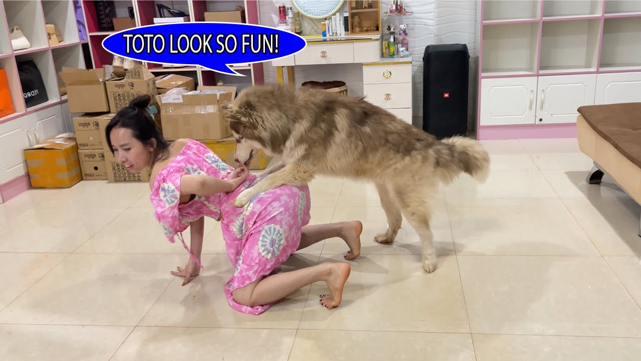 Aww!!When TOTO asking for favorite food,Kwan try to escape from TOTO,what will happen? - YouTube
