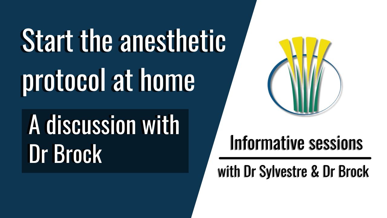 Start the anesthetic protocol at home. - YouTube