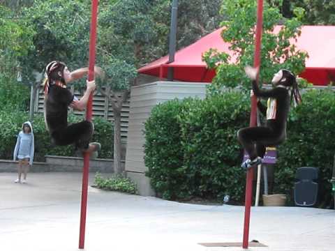 Monkey Mayhem - YouTube