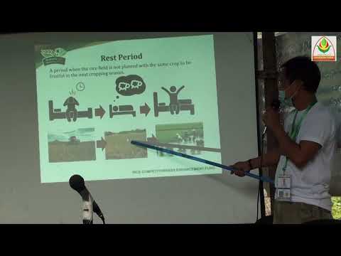 Keycheck 3: Practiced Synchronous Planting After A Rest Period - YouTube