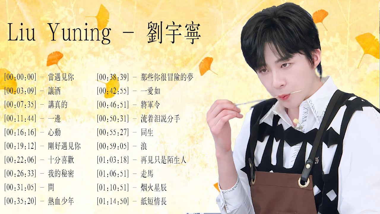 *刘宇宁*Liu Yuning慢歌精选40首合集 - 烟火星辰 - 40 Songs of the Most Popular Chinese ...