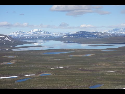 Fly Fishing Swedish Lapland with Arctic Heli.