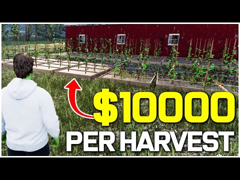 Ranch Simulator BEST Way to Make Money - Ranch Simulator Tips and Tricks