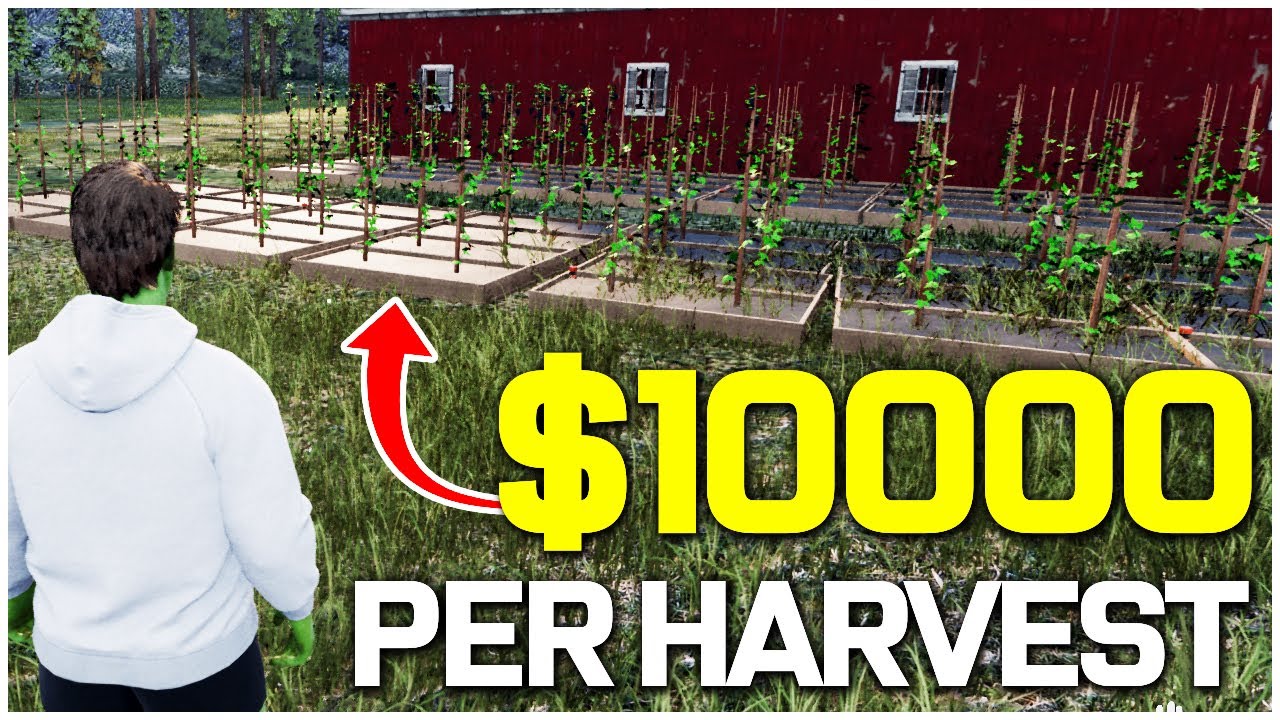 Ranch Simulator BEST Way to Make Money - Ranch Simulator Tips and ...