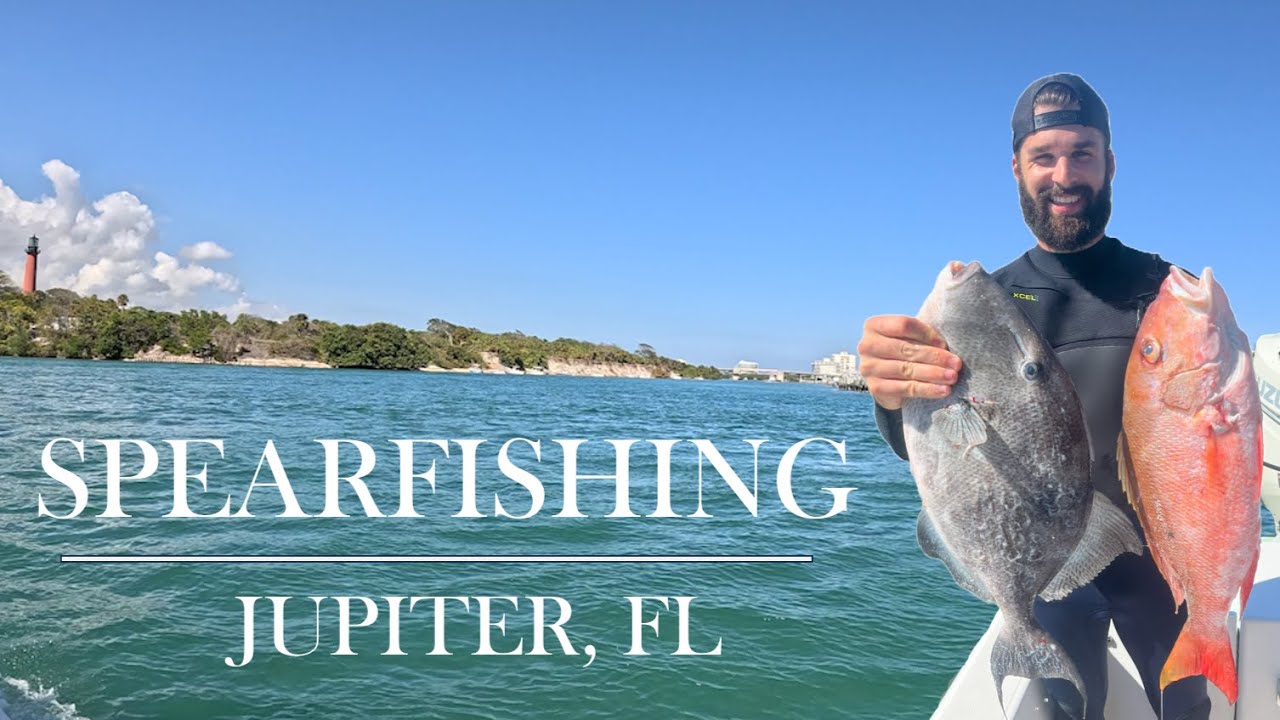 Fighting GIANT predators for our fish | Spearfishing Deep Reefs - YouTube