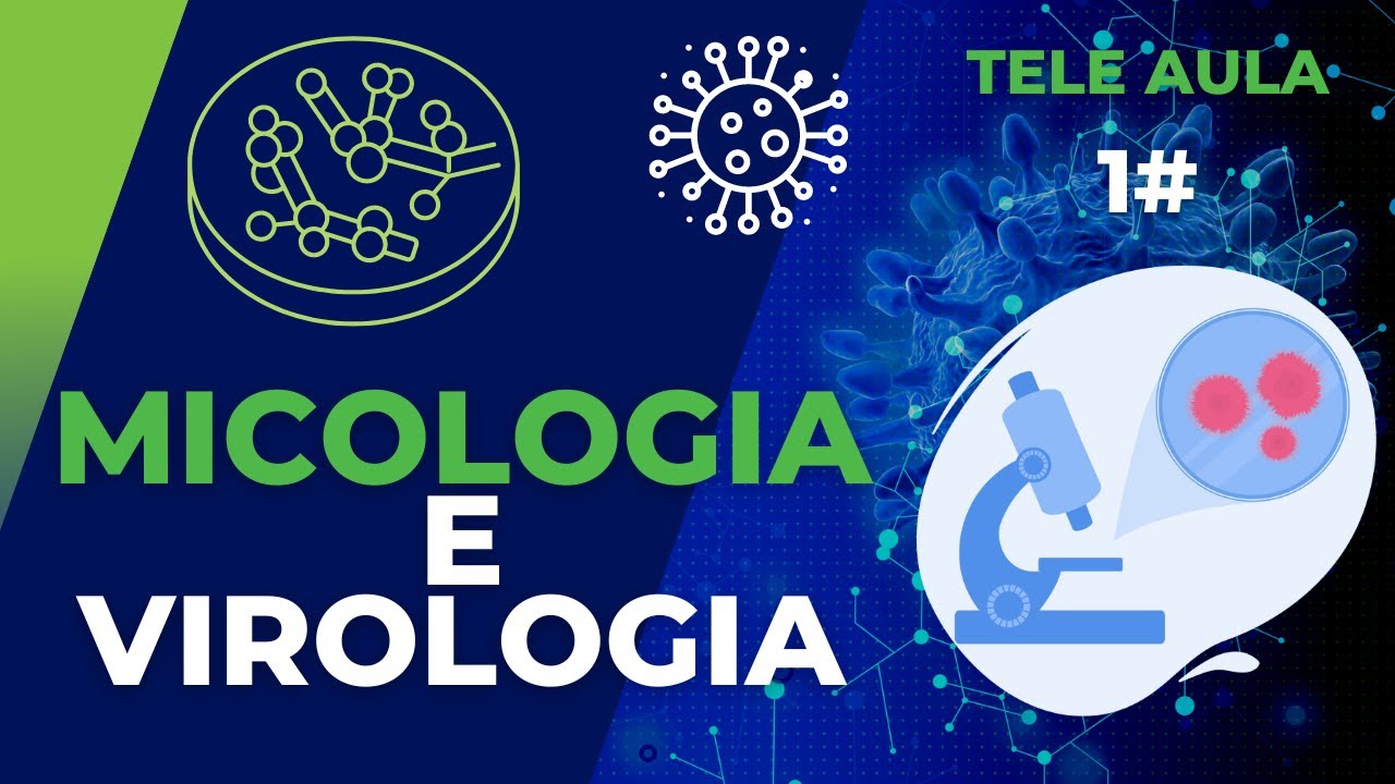 Micologia e Virologia TELE AULA 1 - YouTube