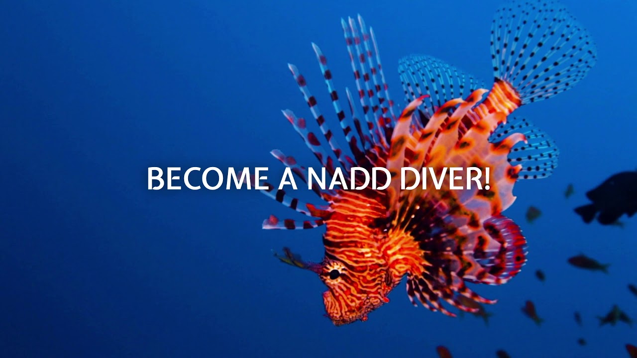 Become a NADD diver! - YouTube