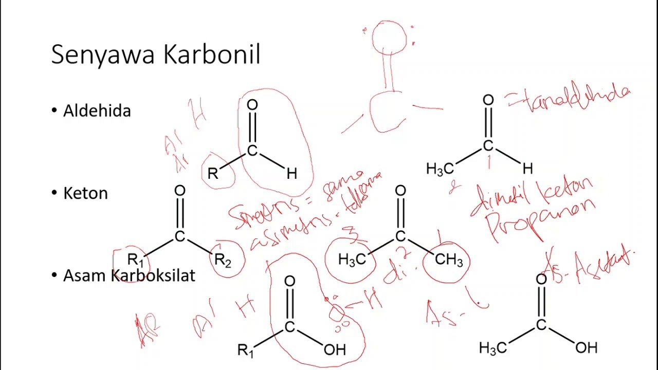 Video 1 Gugus karbonil review - YouTube