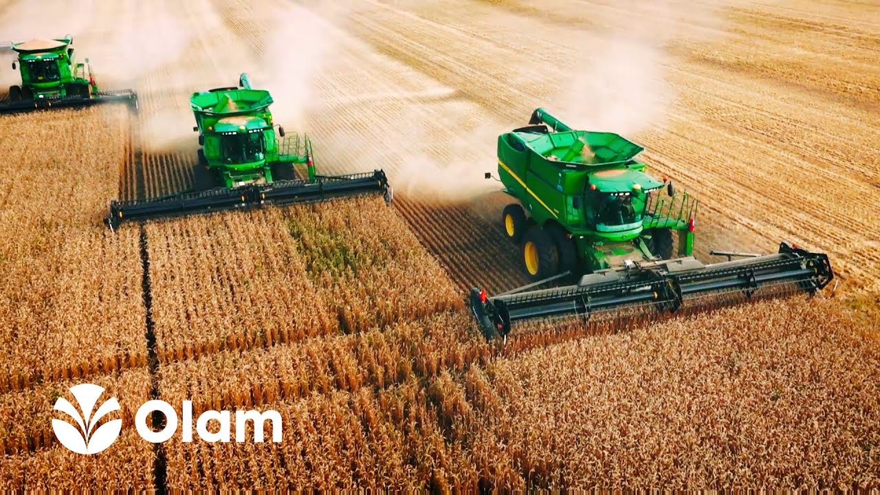 OLAM International Russia - YouTube