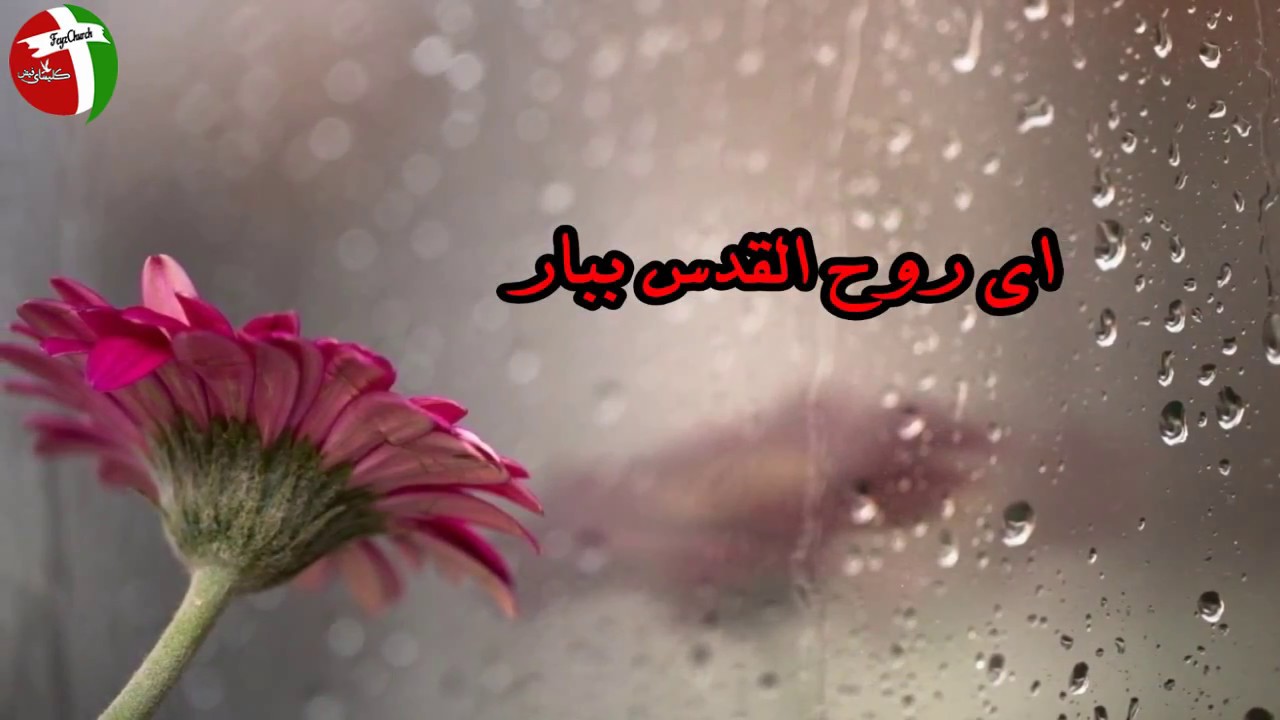 Hamchon Baran Bahari همچون باران بهاری نیلوفر - YouTube