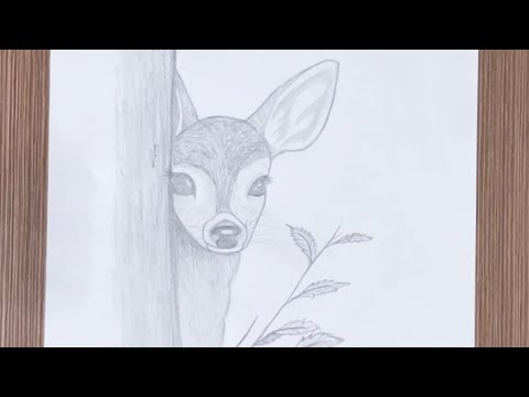 How to Draw a Deer Hiding Behind a Tree || A Step-by-Step Drawing Guide ...