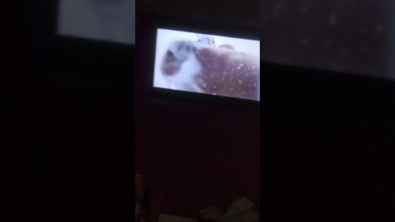 Disney Channel US Continuity 2020 - YouTube