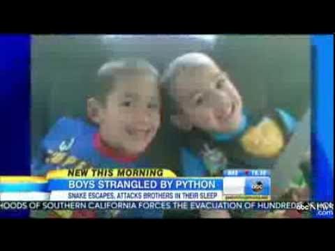 !!PYTHON KILLS 2 YOUNG BOYS IN CANADA!! - YouTube
