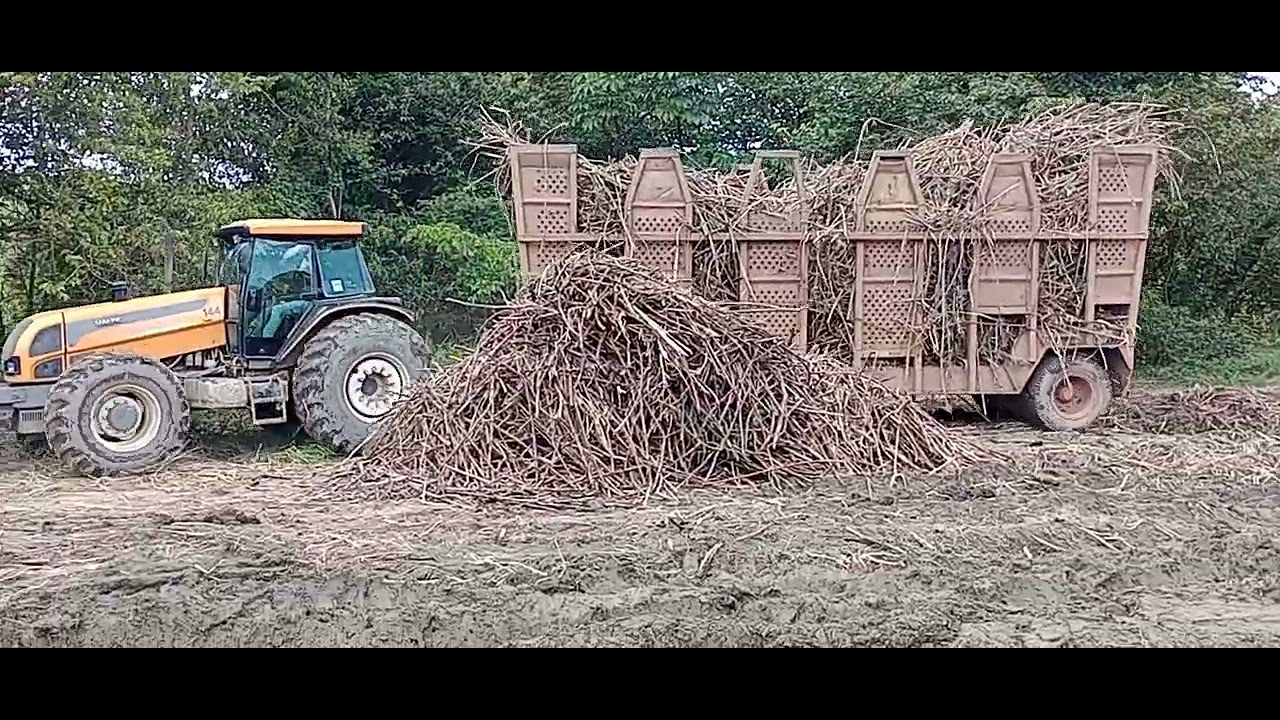 no atoleiro engenho araticum zona rural de Barreiros - YouTube