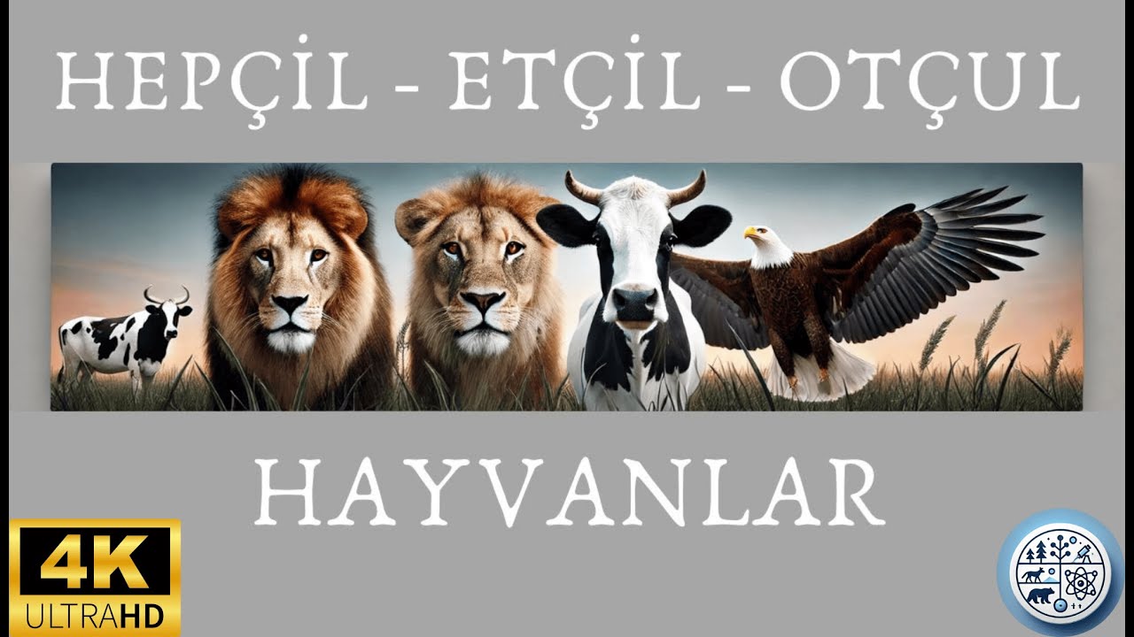 ETÇİL, OTÇUL VE HEPÇİL CANLILAR | 4K BELGESEL - YouTube