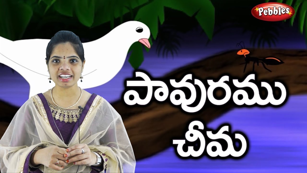 Ammamma kathalu | Best Telugu Stories for kids| Pavuram & cheema - YouTube
