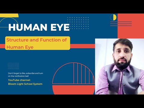 Human Eye Structure and Function | Working of Human Eye ...