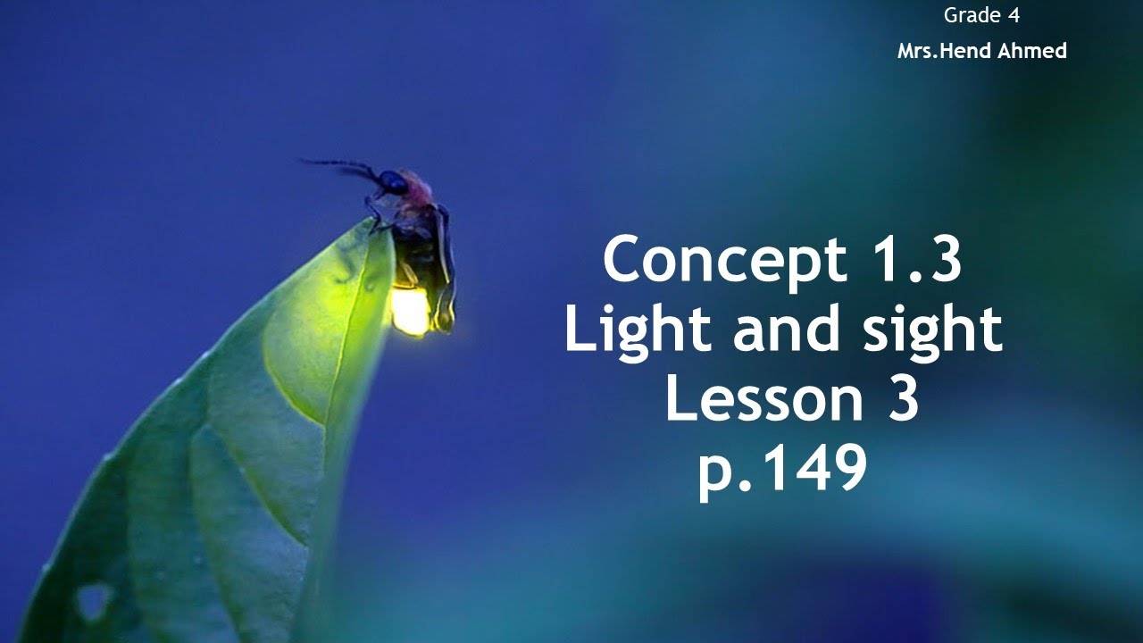Lesson 3|Concept 1.3| Science| Term 1| Grade 4 - YouTube
