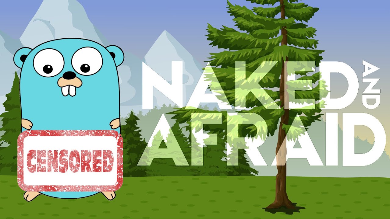 Go's Naked Returns: Be afraid! - YouTube