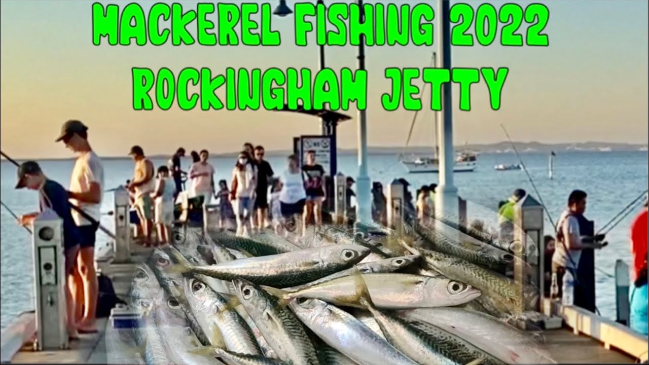 Fishing for Mackerel at Rockingham Jetty Western Australia # ...