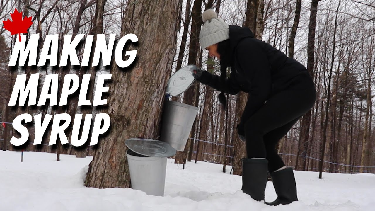 I drove more than THREE THOUSAND MILES for this/ My favourite time in ...