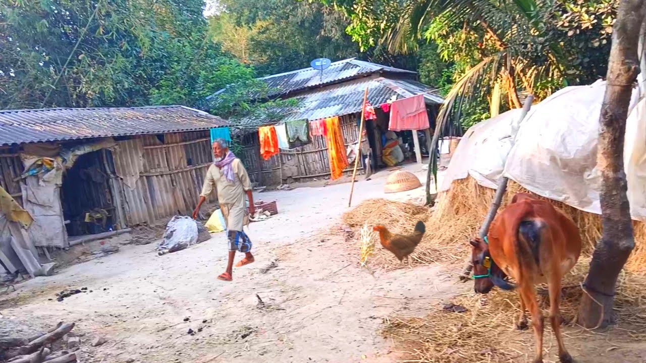 Most Beautiful India Village || Village Rain || West Bangal Simple ...