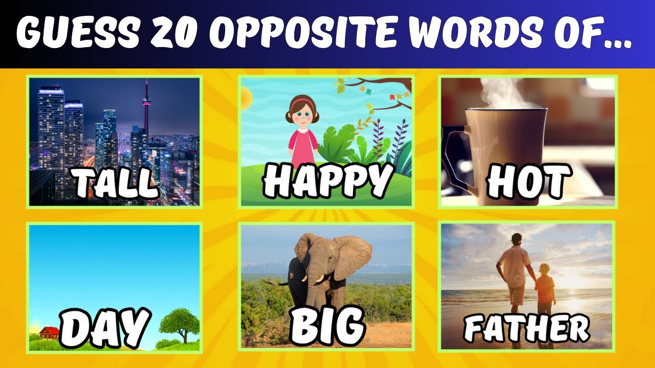 Guess the Opposite Word in 5 Seconds | Opposite Word - YouTube