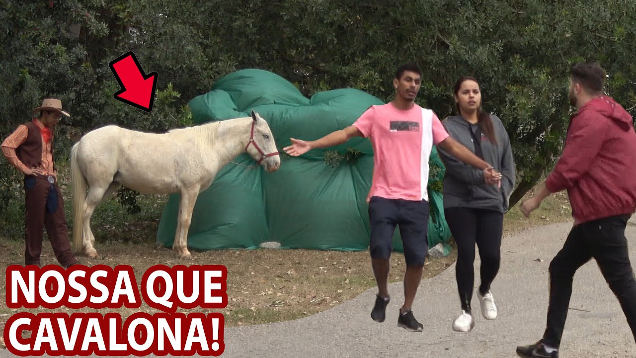 NOSSA QUE CAVALONA! - YouTube